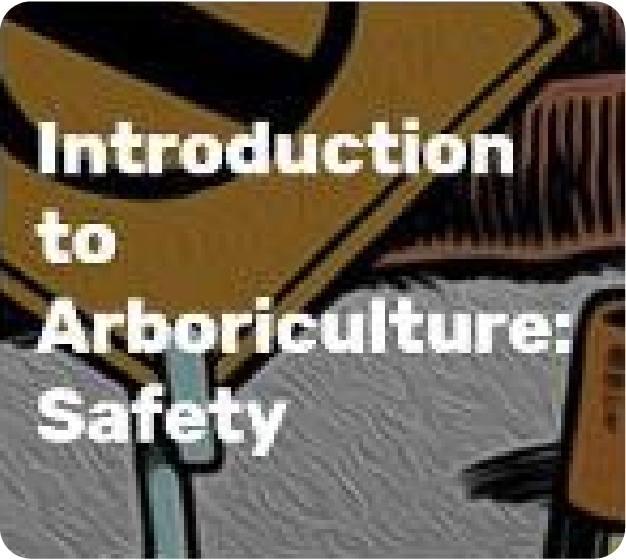 Introduction to Arboriculture - Safety | ISA Prod